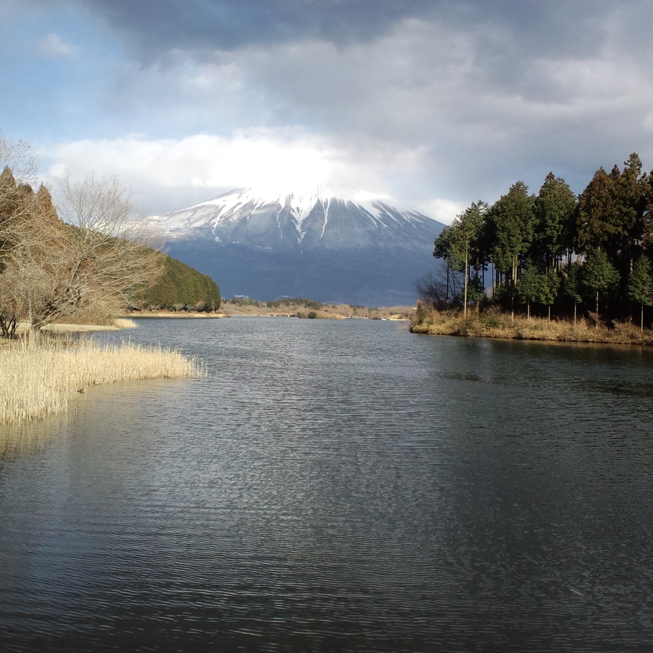 Enjoy the blessings of Mt. Fuji | Tours Topics | FUSION ふじのくに静岡通訳案内士の会
